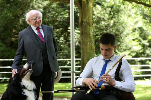 We need an Instagram account devoted to Michael D's dogs Bród and Síoda ...