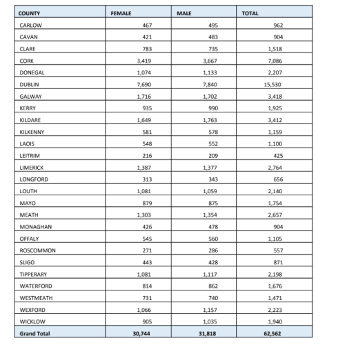 The Junior Cert results are out today - here's all you need to know