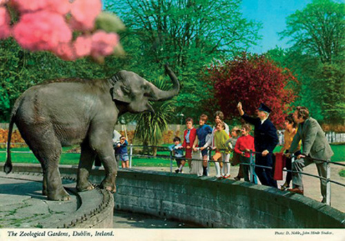 You wanted a book of John Hinde postcards? You got it. · TheJournal.ie