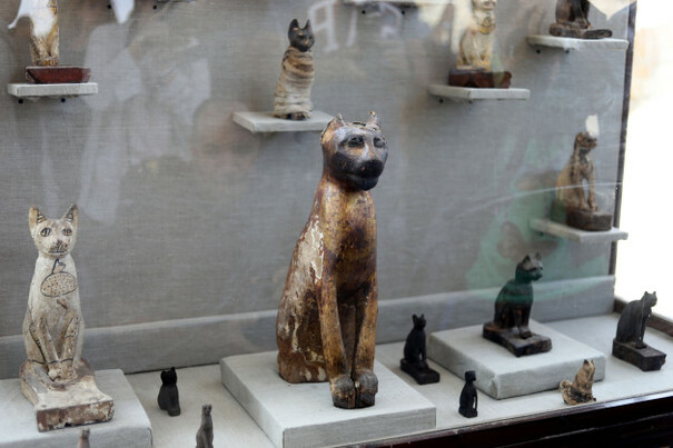 Egypt's newly discovered tombs hold cat mummies and animal statues