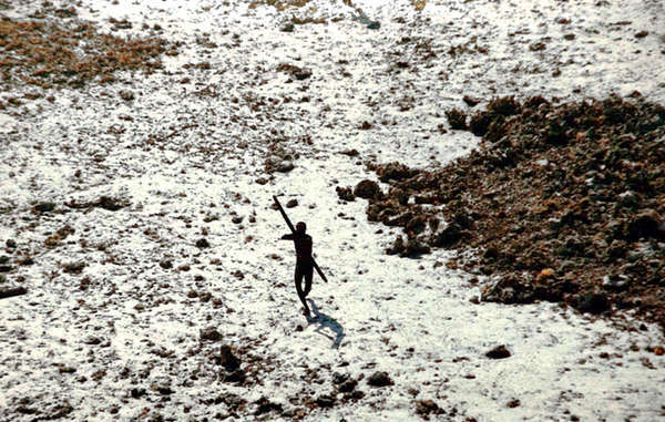 Who are the North Sentinelese? The story behind the remote island at ...