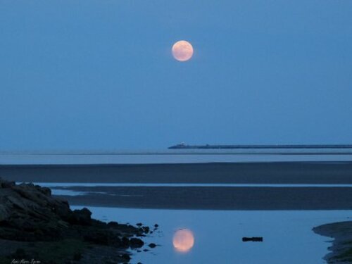 Gallery: The 'super moon' over Ireland · TheJournal.ie