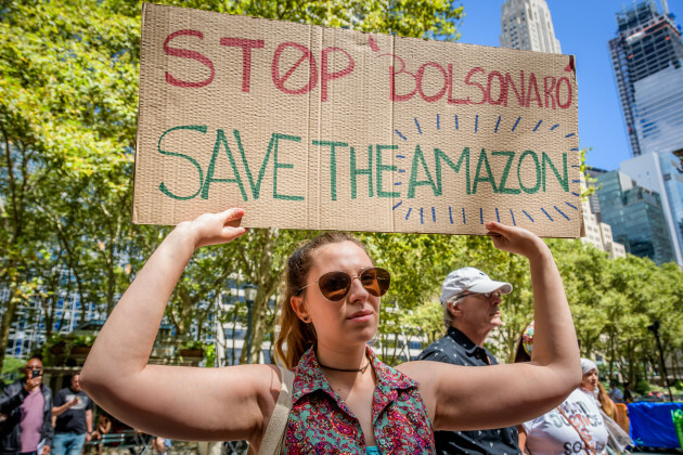 60-day ban on burning in Brazil following global outcry over Amazon fires