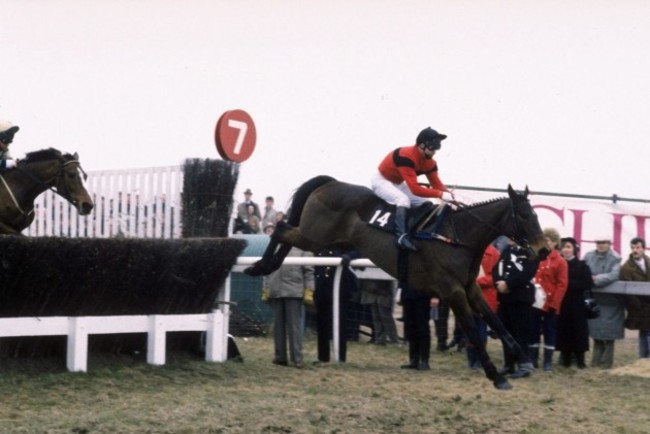 Johnny Ward: Cheltenham should be careful what it wishes for with five ...