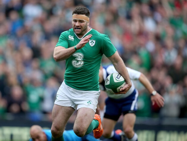 Leinster and Ireland back Fergus McFadden to retire when the season ends