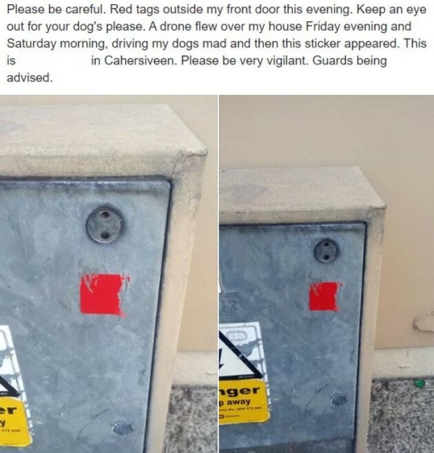 Factcheck: Are dognappers marking targets with stickers on ESB pillars?