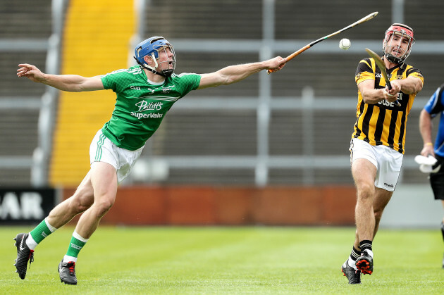 Banville to the fore as Shelmaliers are crowned Wexford senior hurling ...