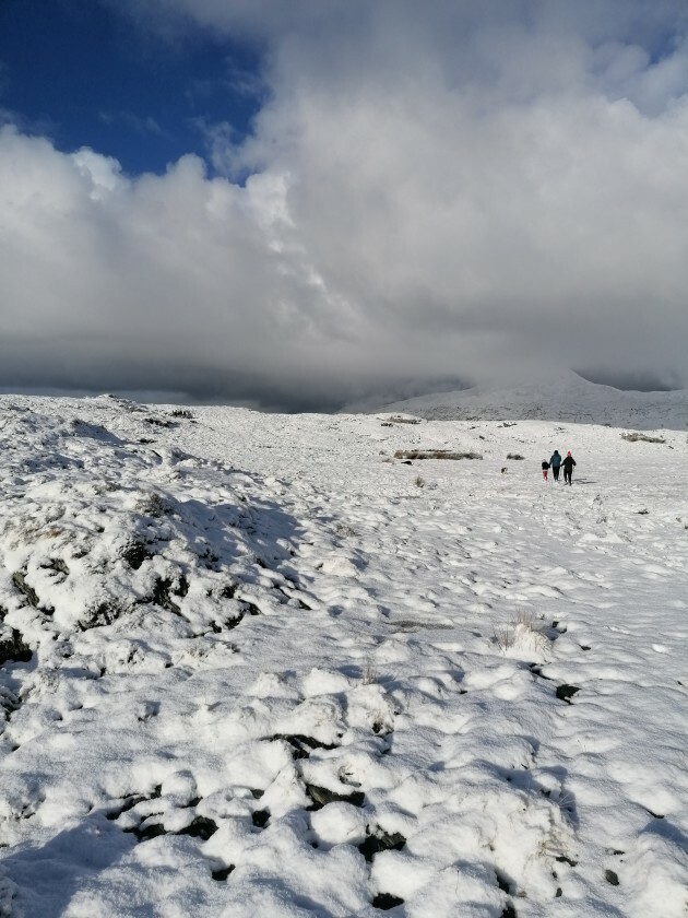 Photos: Here are some snow-capped snaps of Ireland · TheJournal.ie