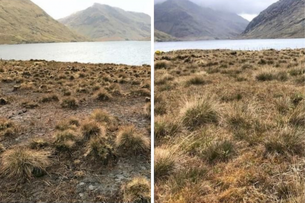 Over the Hill: Persistent overgrazing causing 'devastation' in ...