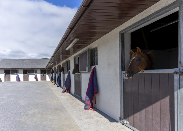 Horses for courses: Your own 20 acre stud farm for €1.5 million in Co ...