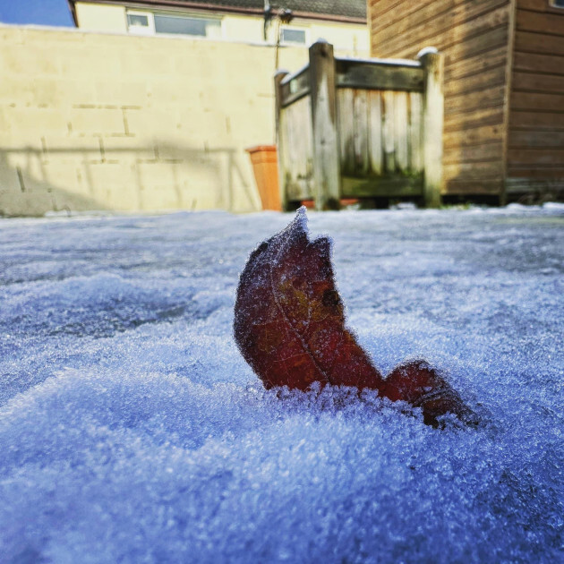 Cold Snaps, Part Two: More dazzling photos of Ireland in the ice, frost ...