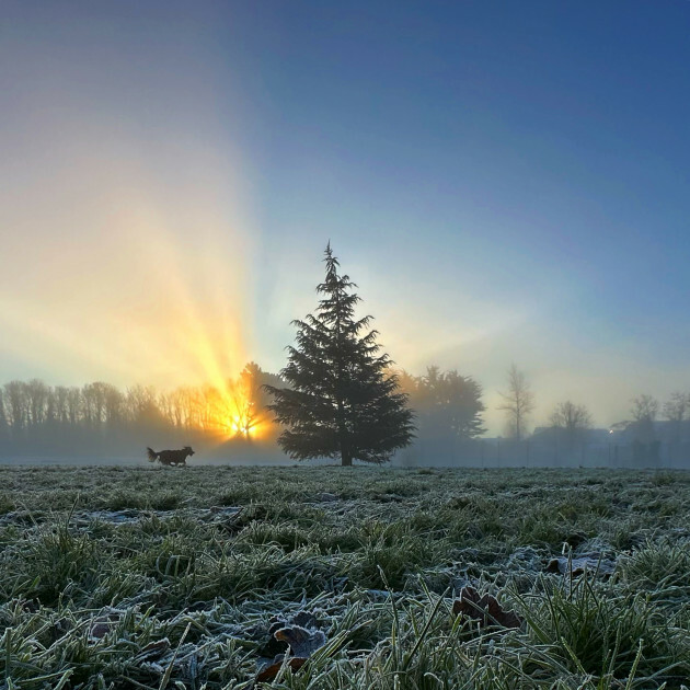 Cold Snaps, Part Two: More dazzling photos of Ireland in the ice, frost ...