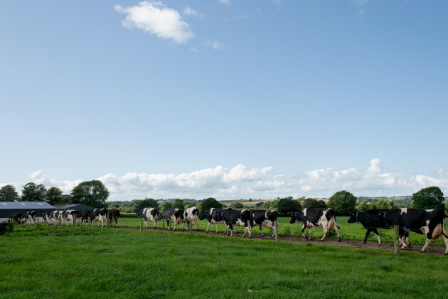 Getting to Know: Irish dairy farmers share their stories of sustainability