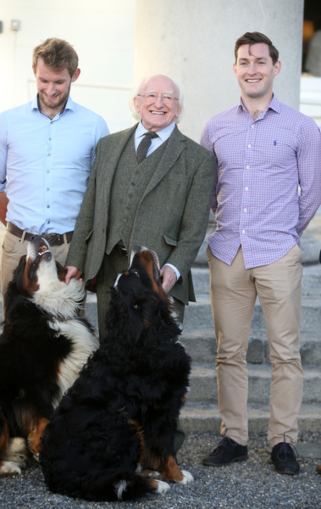 Bród, beloved dog of President Michael D. Higgins, dies aged 11