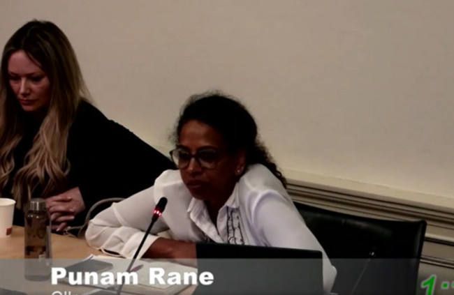 Harris condemns 'utterly wrong' claims by FG councillor that 'US ...