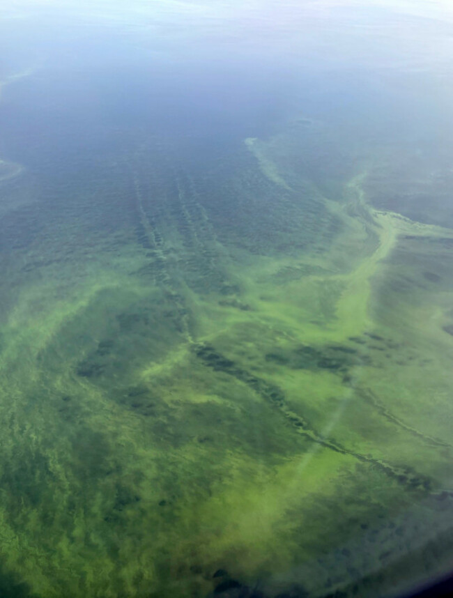 Call for urgent cross-party action in Stormont to save Lough Neagh