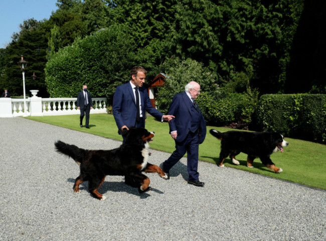 The highs and lows of Michael D Higgins’ 14-year presidency