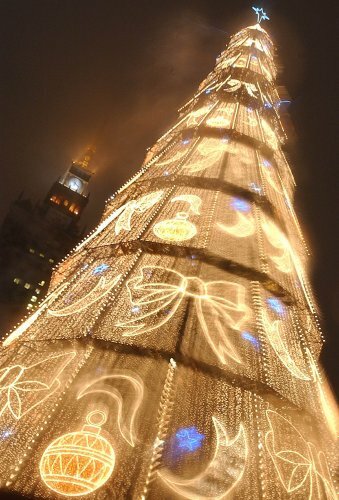 7 of the strangest Christmas trees you'll see this year · TheJournal.ie