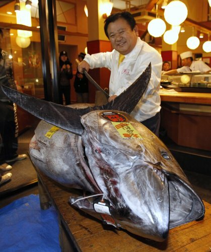 Giant tuna sells for record €1.3 million in Japan · TheJournal.ie