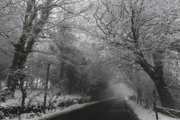 Photos: Here's how the Dublin Mountains looked in the snow today