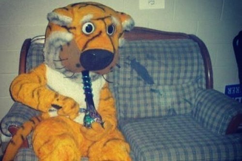 Snapshot: Missouri mascot Truman the Tiger 'pictured hitting a bong'