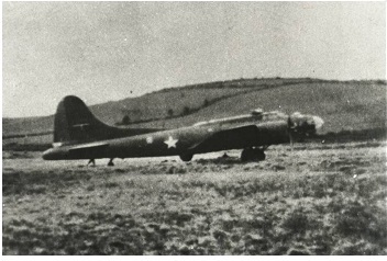 US Army's Tojo the Monkey gets his own statue in Cork · TheJournal.ie