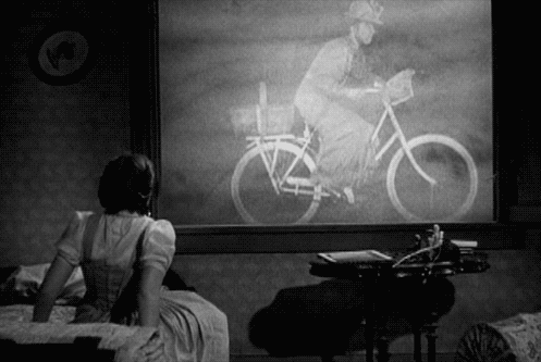 12 amazing photos caused by the wind · The Daily Edge