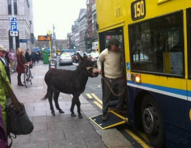 26 photos that sum up Ireland perfectly · The Daily Edge