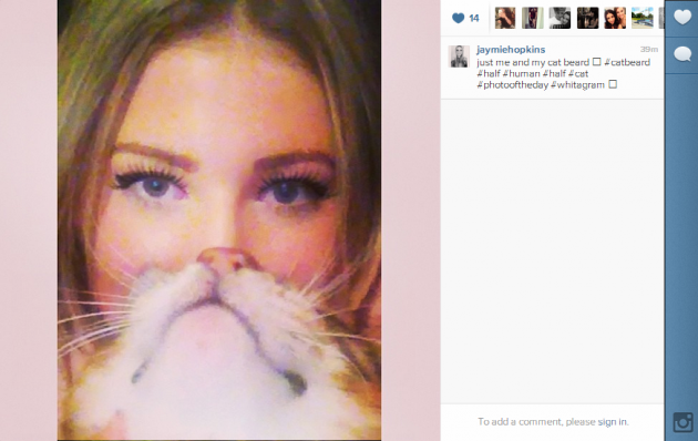 Why cat bearding is our current favourite internet craze