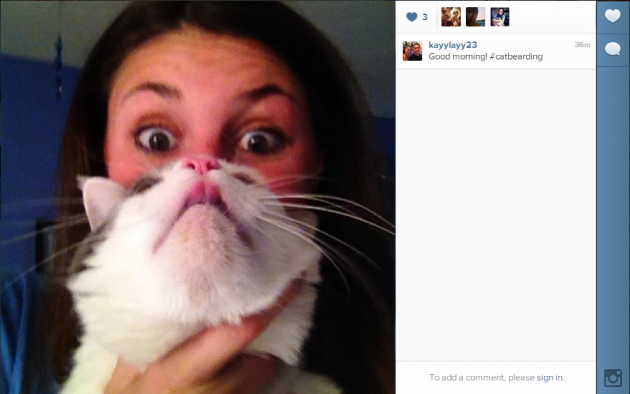 Why cat bearding is our current favourite internet craze