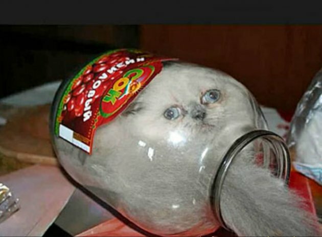 13 of the biggest mistakes in the history of the world · The Daily Edge