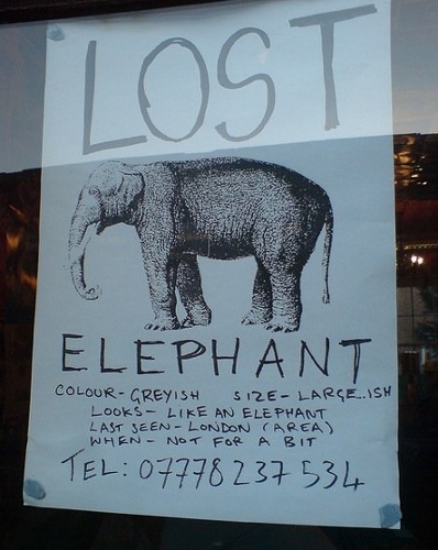 15 of the best lost and found signs on the internet · The Daily Edge