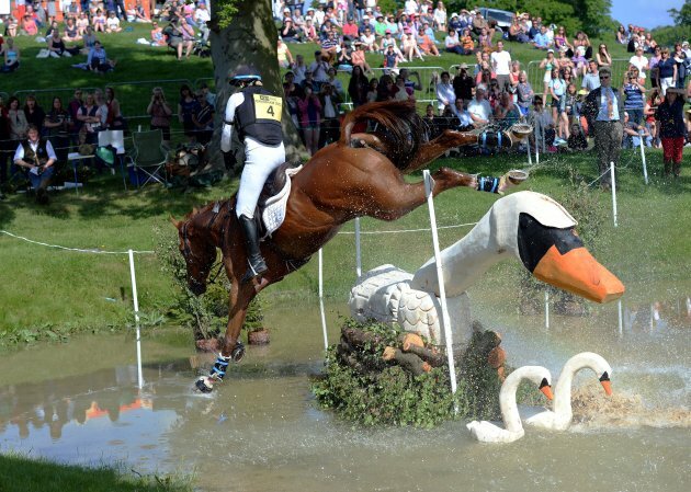 It's Your Horse Jumping Over a Giant Swan Picture of the Day · The42