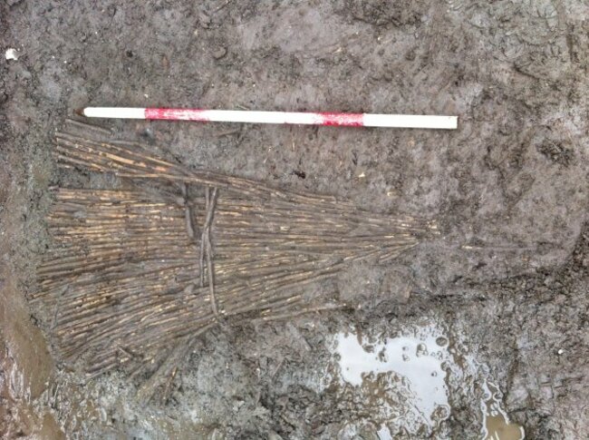 Archaeologists find ancient fish trap at Dublin quays site