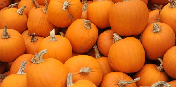 Quiz: How much do you know about pumpkins? · TheJournal.ie